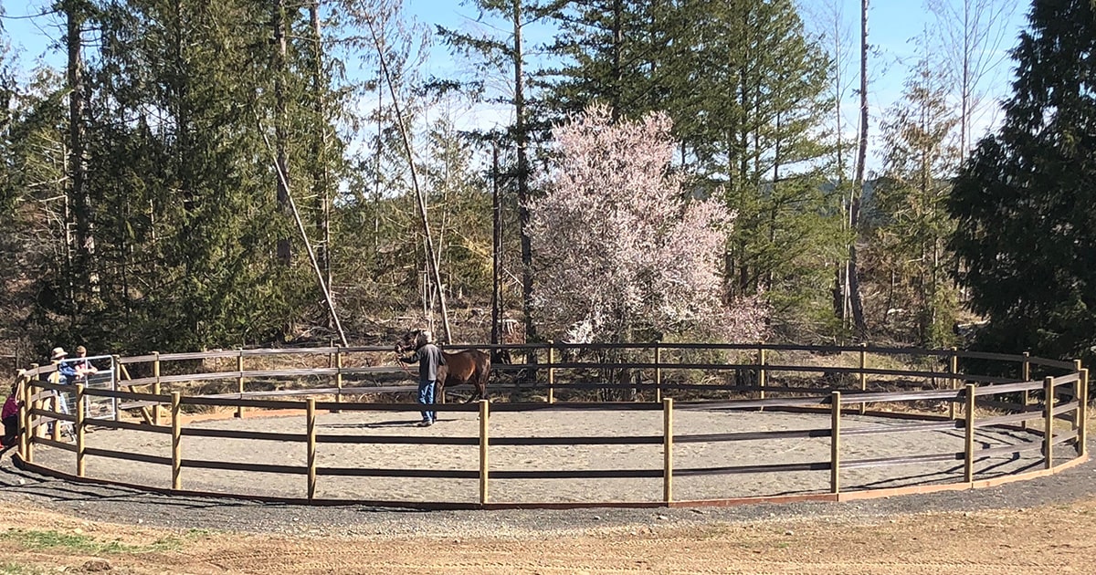 Horse Round Pens | RAMM Fence & Stalls