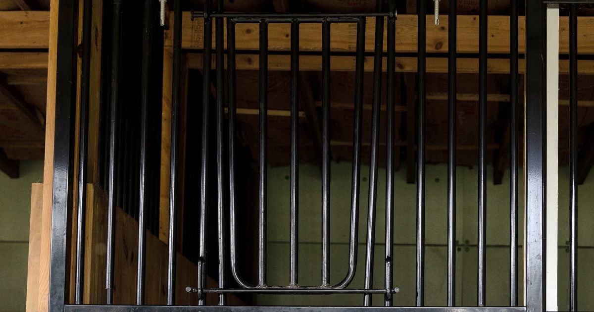 Cambridge Stall Accessories | RAMM Fence & Stalls