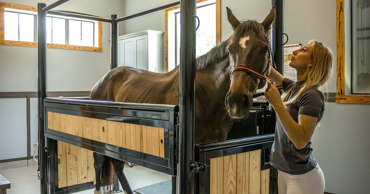 Miscellaneous | RAMM Fence & Stalls