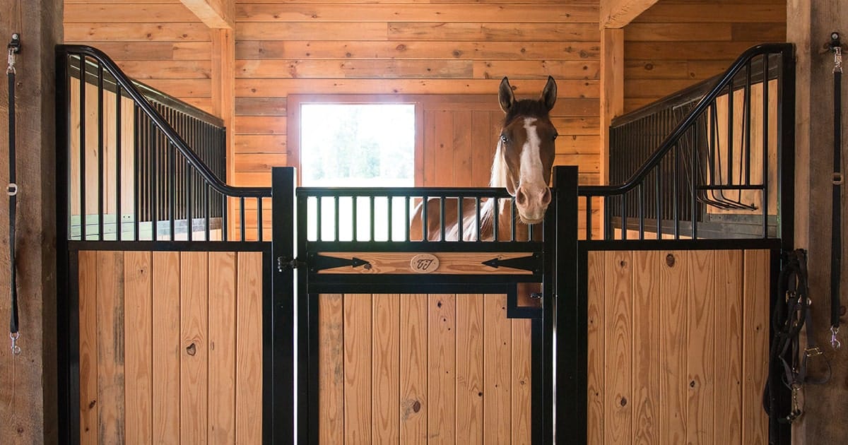 Tuscany Stall Fronts | RAMM Fence & Stalls