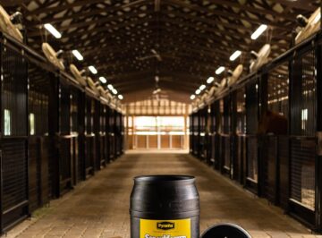 Automatic Fly Spray System with Analog Timer