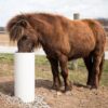 Ultimate Drinking Post Waterer | RAMM Fence & Stalls