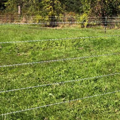 Pro-Tek Braided Electric Fence for Horses | RAMM