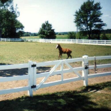 PVC Gate Kit | RAMM Fence & Stalls