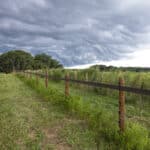 Shockline Electric Coated Wire for Horses | RAMM Fence