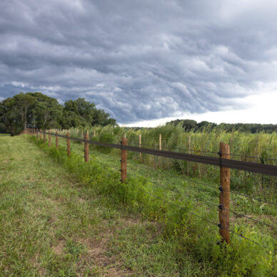 Shockline Electric Coated Wire for Horses | RAMM Fence