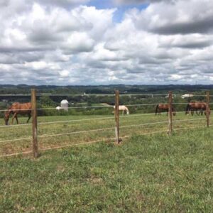 Shockline Electric Coated Wire for Horses | RAMM Fence