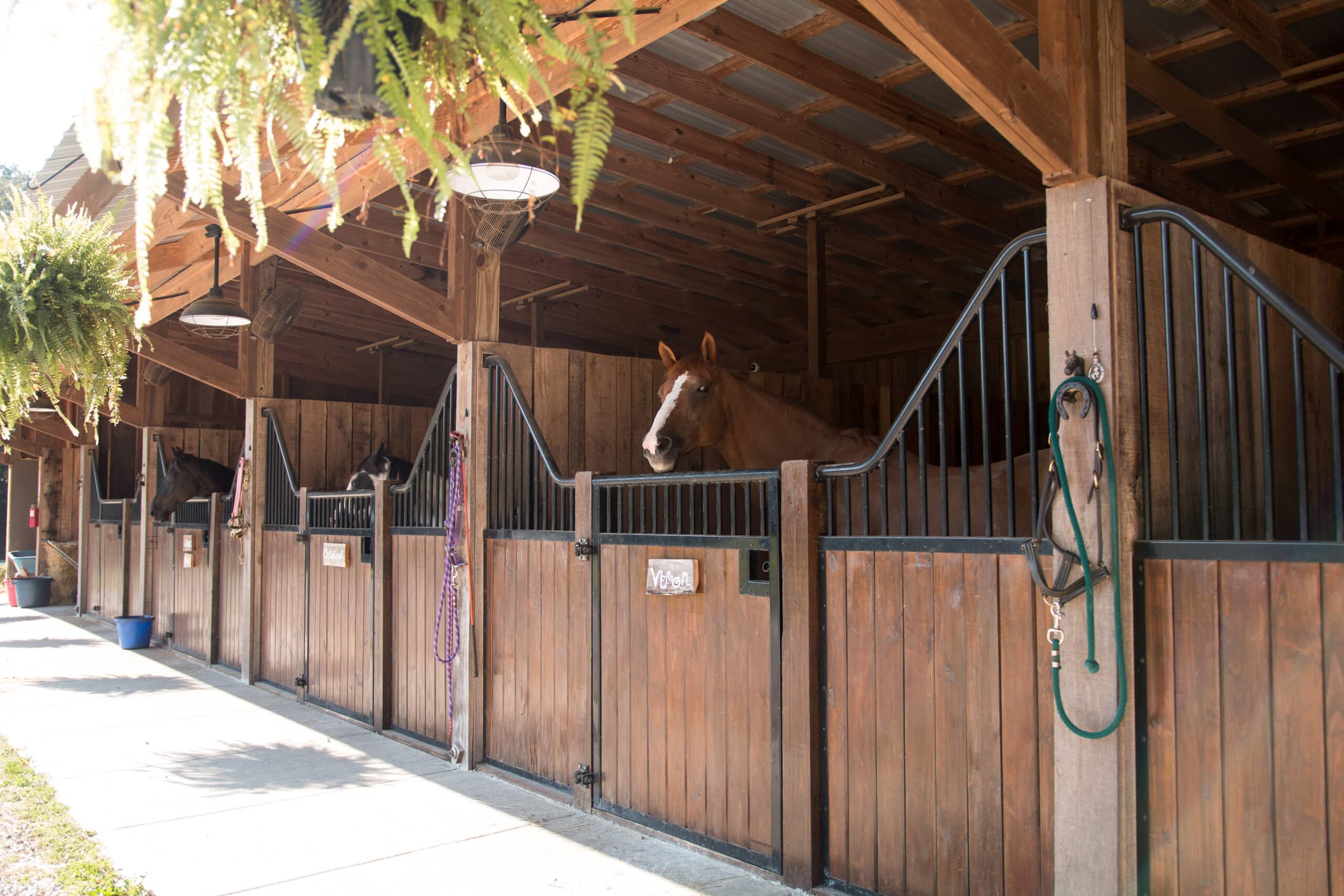 Shetland Horse Stalls | RAMM Fence & Stalls