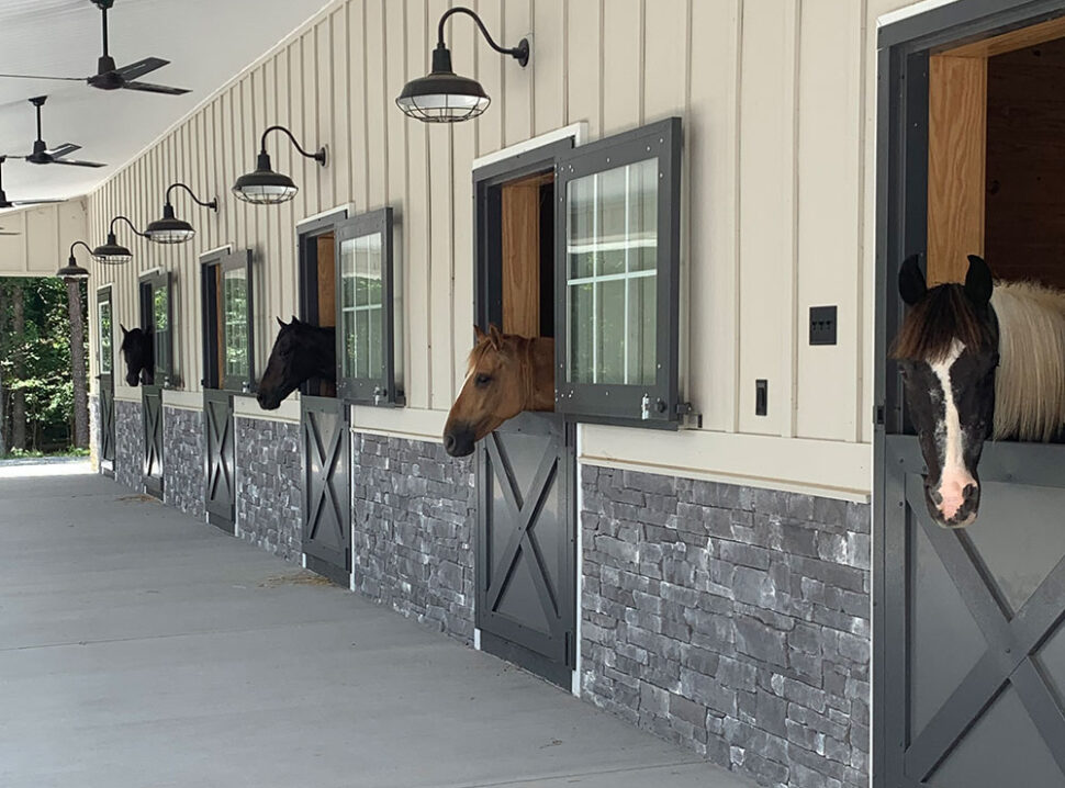 Dutch Door - Glass Panel | RAMM Fence & Stalls
