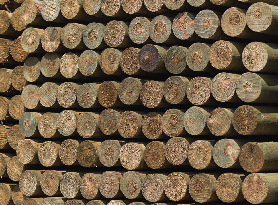 CCA Pressure-Treated Pine Posts